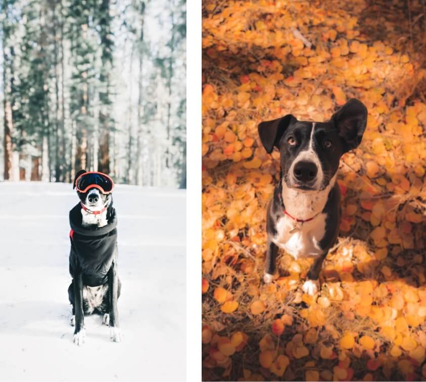 About HELIX: Unleashing Body Potential with Dr. Wes Anderson