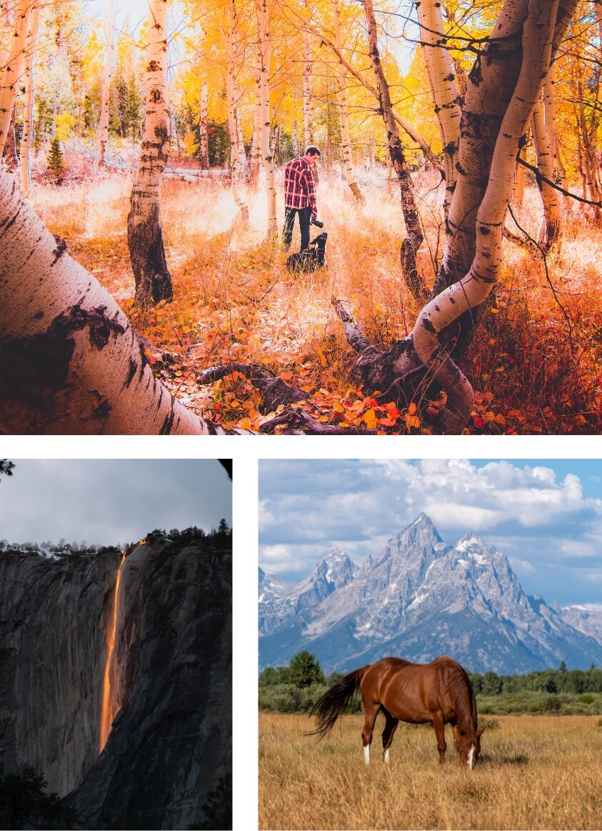 About HELIX: Unleashing Body Potential with Dr. Wes Anderson